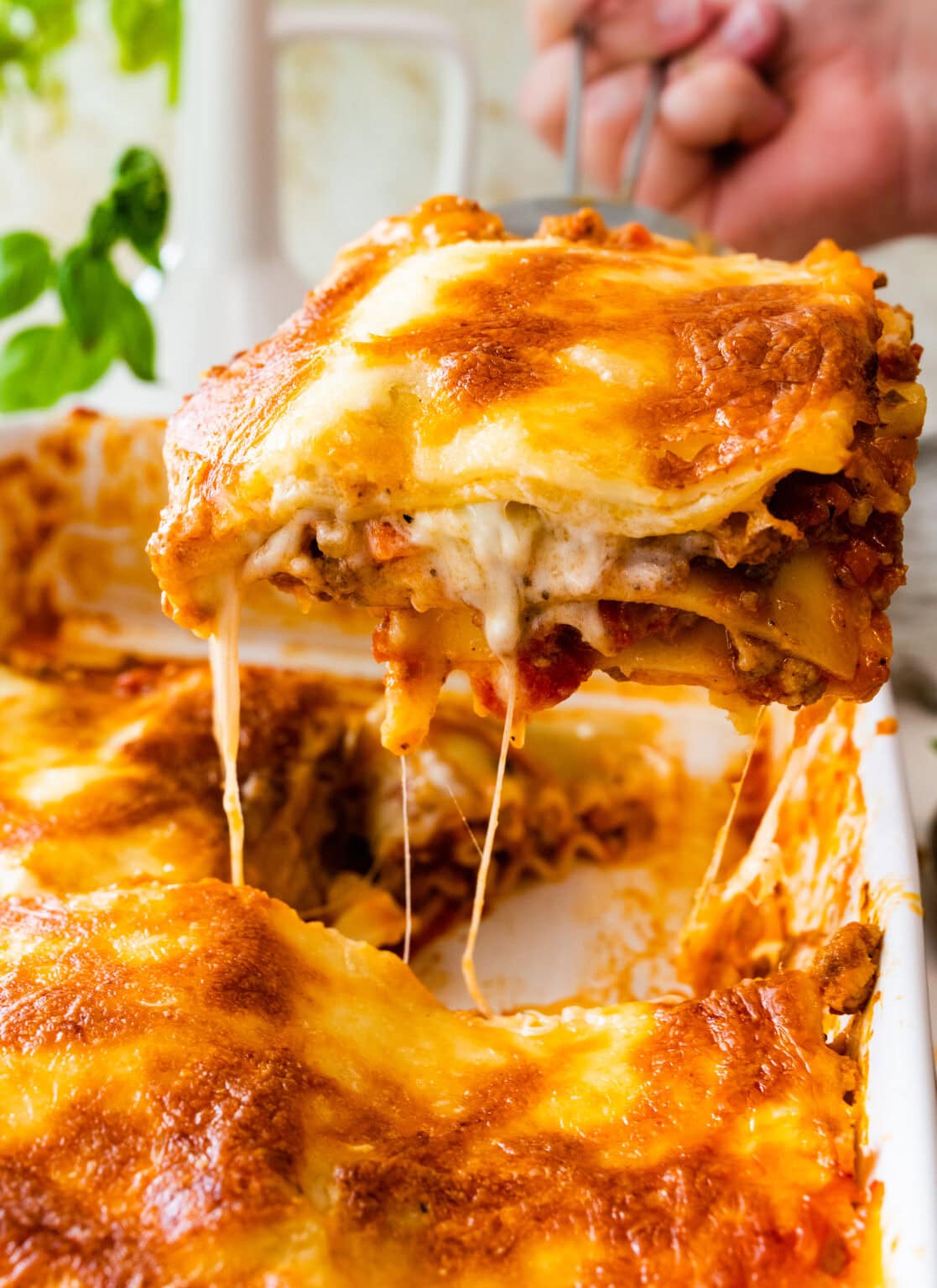 80+ Thanksgiving Dishes to Impress (Best Recipes) - Cucina by Elena
