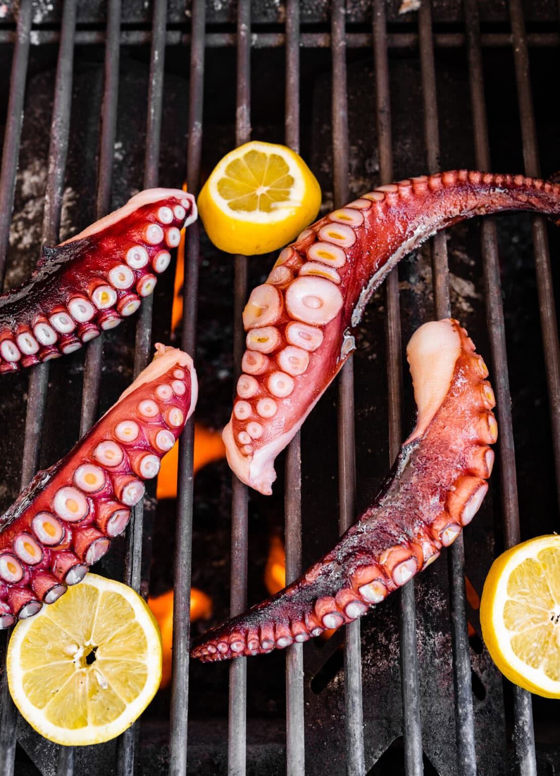 Easy Grilled Octopus Recipe with Lemon (Greek Style) - Cucina by Elena
