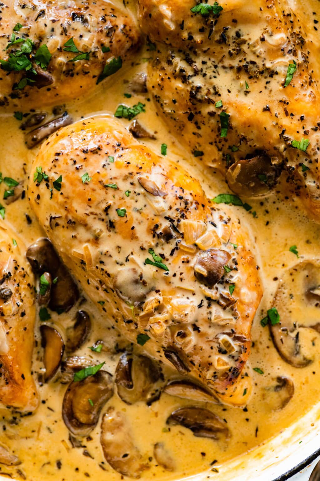 Chicken With Creamy Mushroom Sauce Recipe - Cucina by Elena