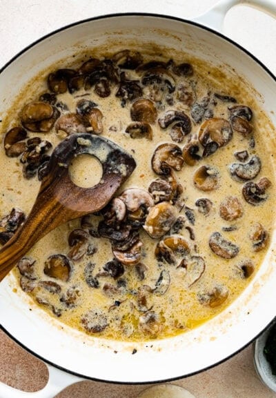 Creamy Mushroom Pasta (Easy) - Cucina by Elena