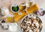 Creamy Mushroom Pasta (Easy) - Cucina by Elena