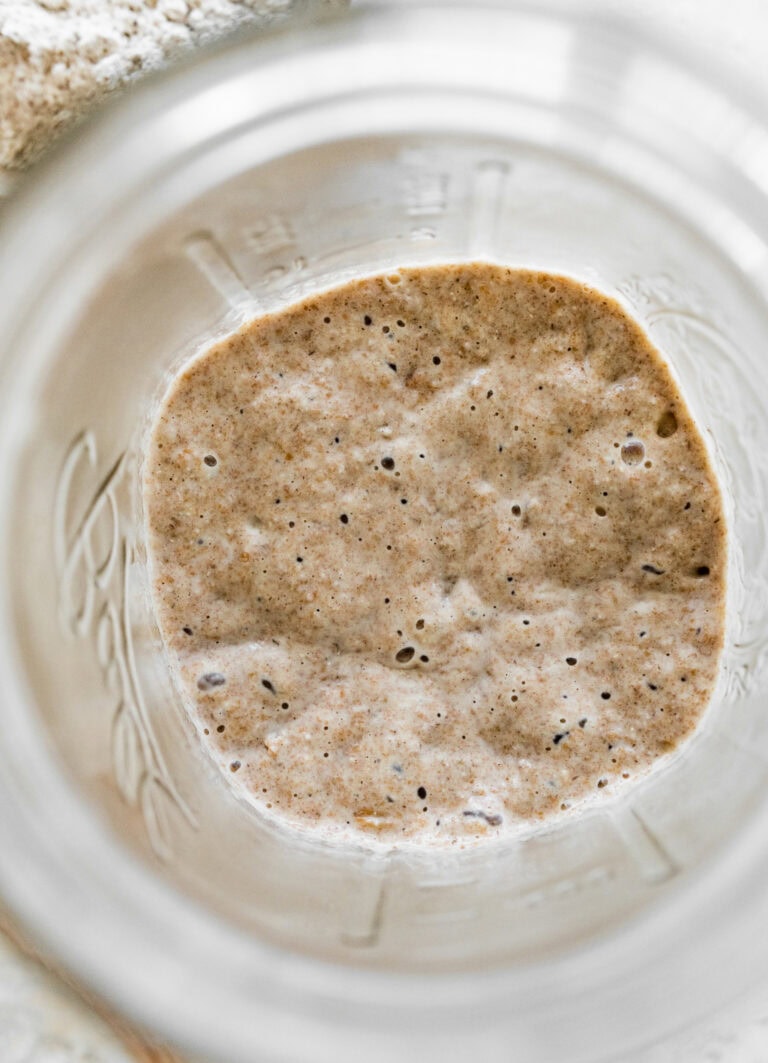 Rye Sourdough Starter (Easy Beginners Guide) - Cucina by Elena